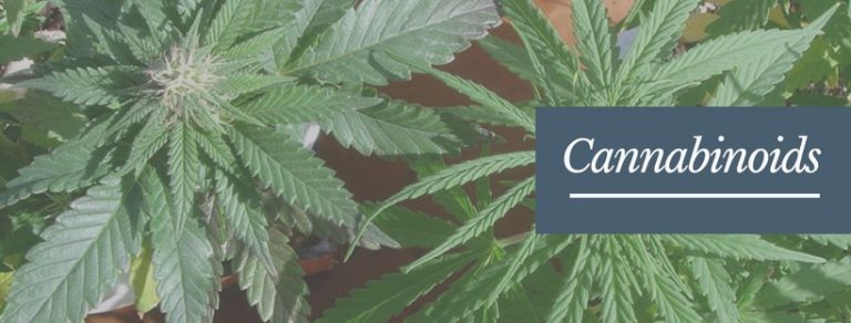 7 Health Benefits of Cannabinoids - Sound Health Doctor