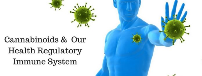 7 Health Benefits of Cannabinoids - Sound Health Doctor