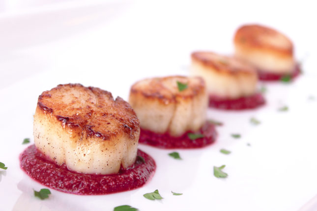 4 Health Benefits of Eating Sea Scallops - A Complete Guide