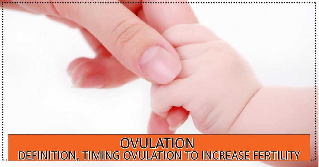 Ovulation - Definition, Timing Ovulation To Increase Fertility - Sound ...