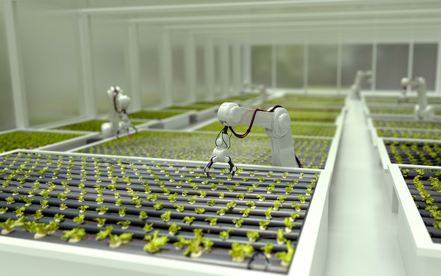 How Biotechnology Could Improve Our Everyday Life – stclareshospice